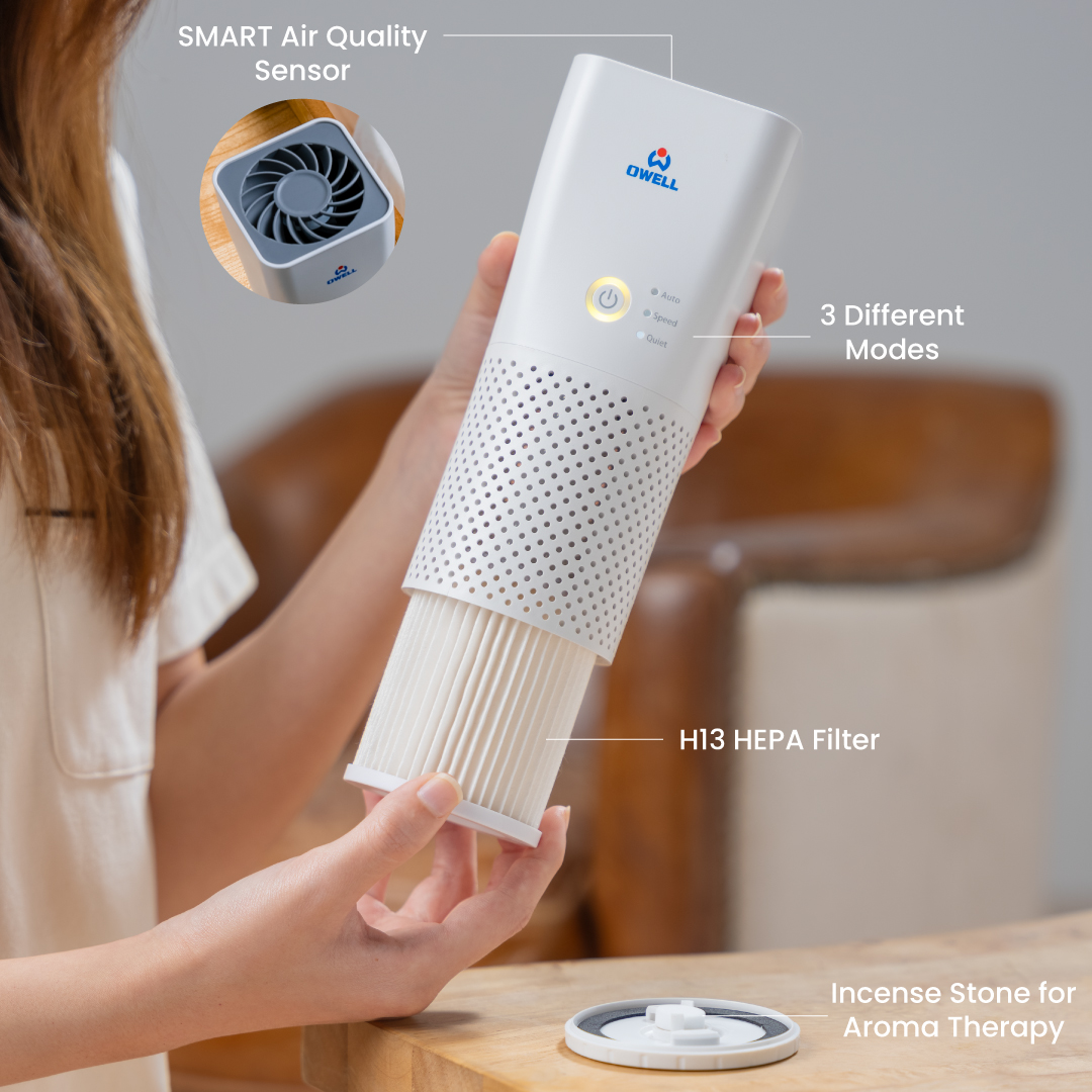 IonAIRFlow SMART Sense Portable Ion Air Purifier (Rechargeable)